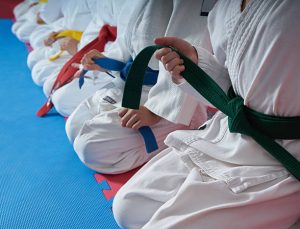 Perkembangan Karate di Indonesia - Haluan Lifestyle