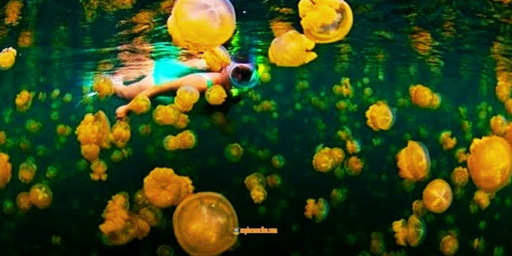 10 Tempat Wisata Hidden Gems di Indonesia yang Wajib Kamu Kunjungi - Haluan Lifestyle