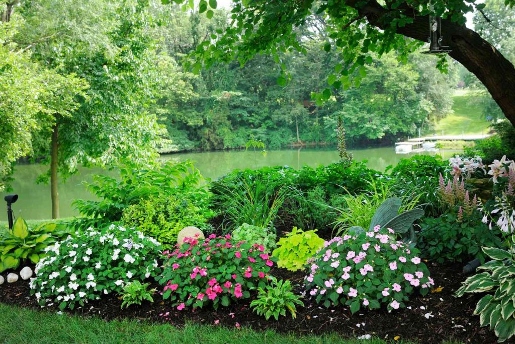 Tips Membuat Shade Garden di Rumah yang Minim Matahari - Haluan Lifestyle